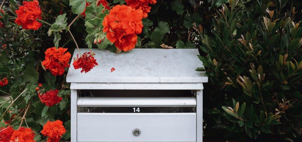 Les étapes essentielles pour accéder à sa boîte mail et gérer ses ...